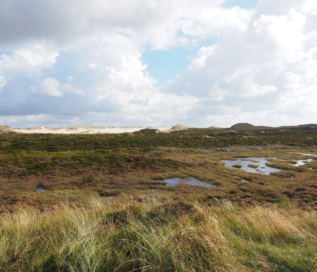 HABITAT CLASSIFICATION IN THE UK - eCountability Ltd